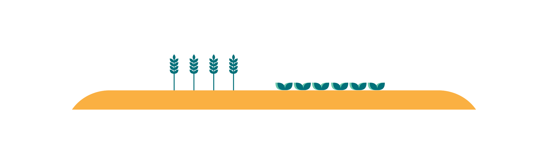 Farm Insurance in Brandon, MB | Guild Insurance Group